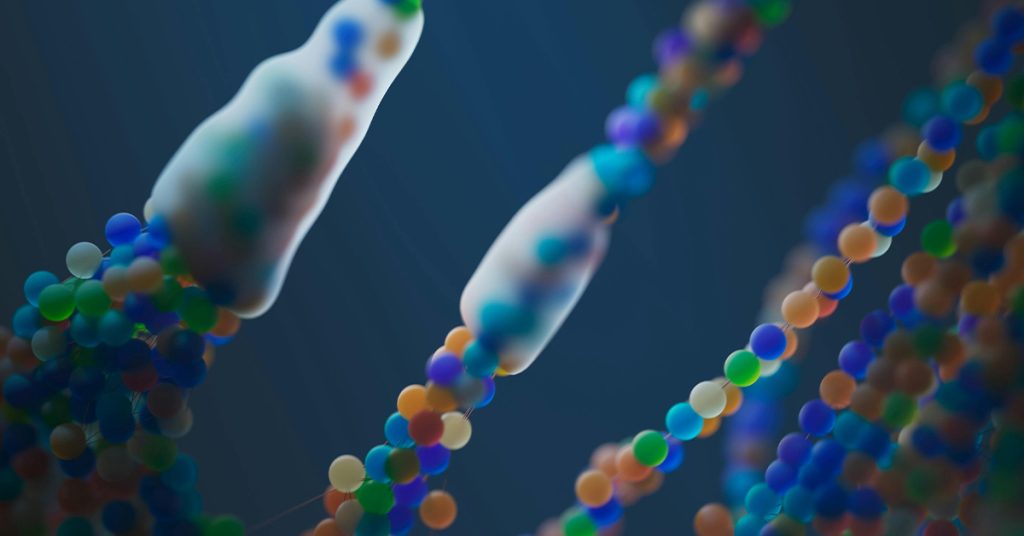 What Are The Differences Between DNA Polymerase vs RNA Polymerase ... What Are The Differences Between DNA Polymerase vs RNA Polymerase ...